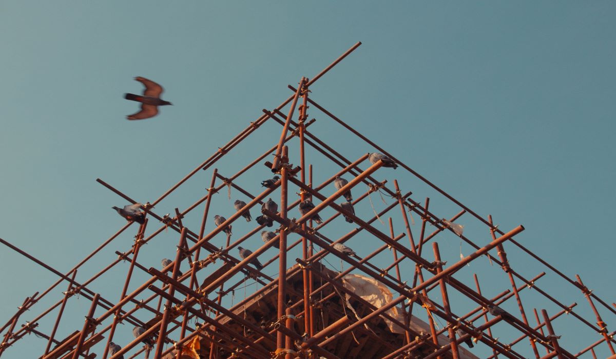 MedTech Strategist - Alucent Biomedical: Re-Envisioning PAD Treatment ...