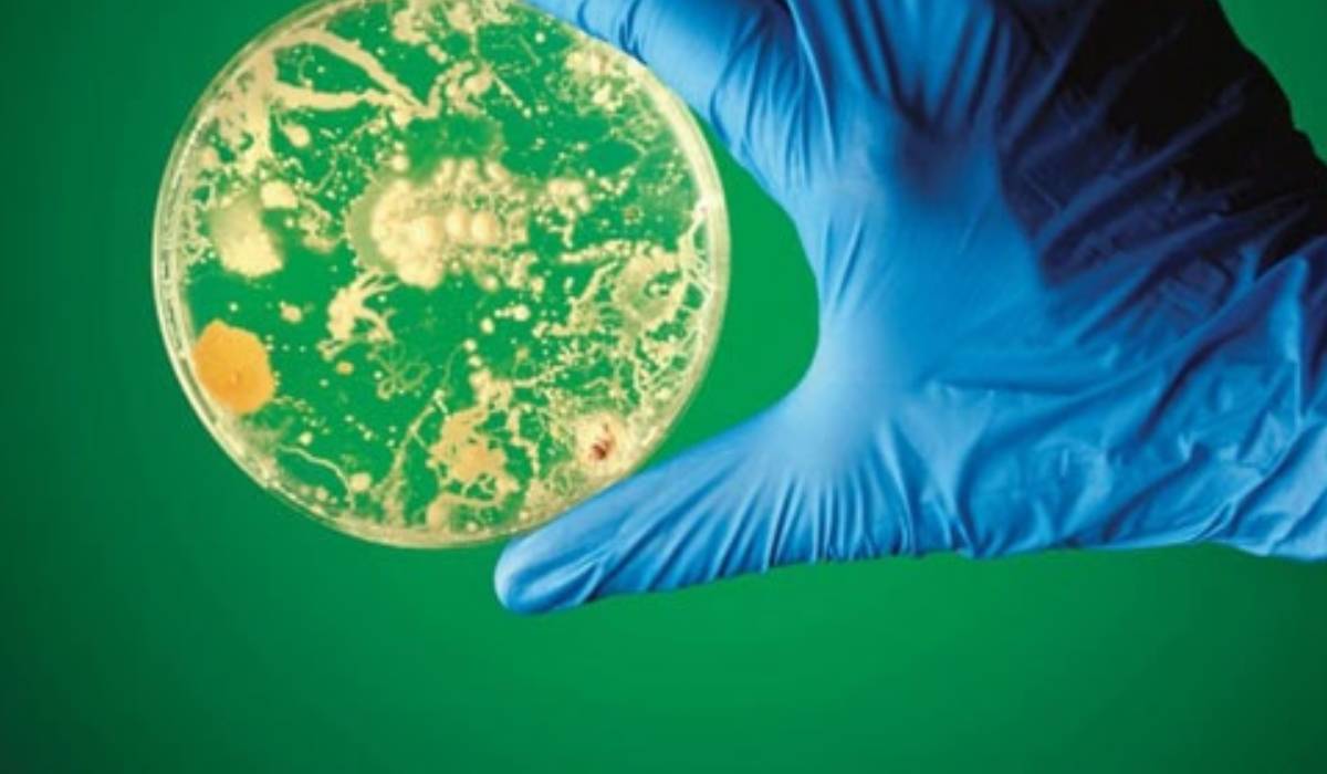 MedTech Strategist - OpGen’s Bet on Precision Antibiotics